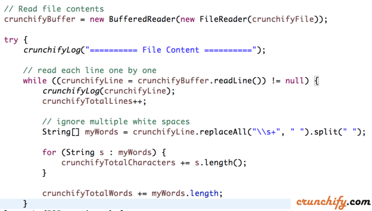 How To Read File In Java And Count Total Number Of Characters Words 