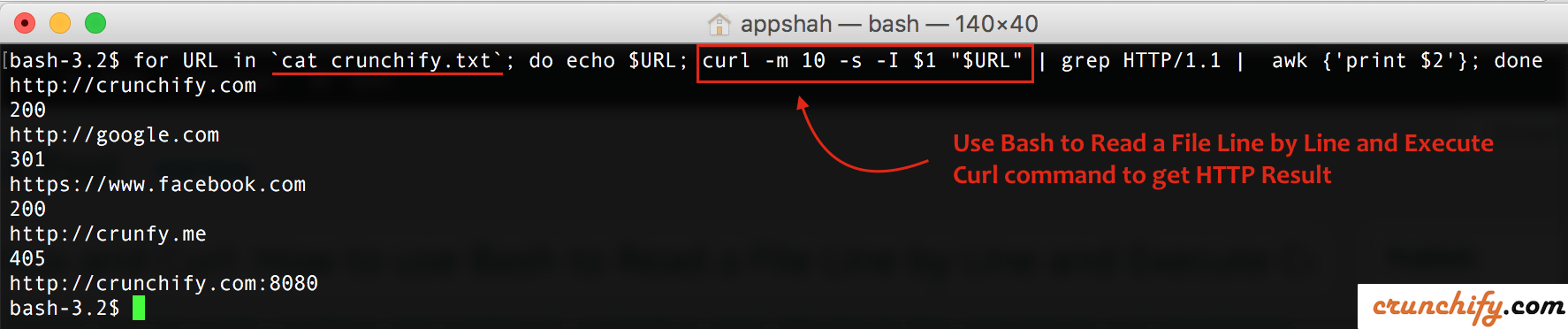 Linux And Curl How To Use Bash To Read A File Line By Line And Execute Curl Command To Get HTTP 