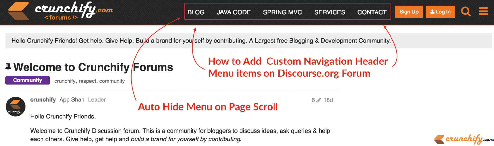 How to Add and Auto Hide Custom Navigation Header Menu items on ...