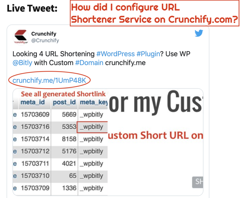 How did I configure URL Shortener Service on Crunchify.com? Bitly, Domain and WordPress Setup ...